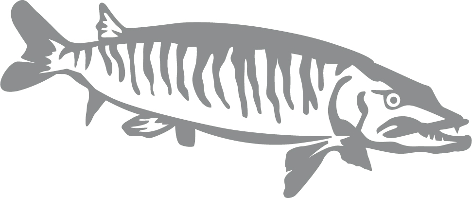 Muskie Fish Clipart