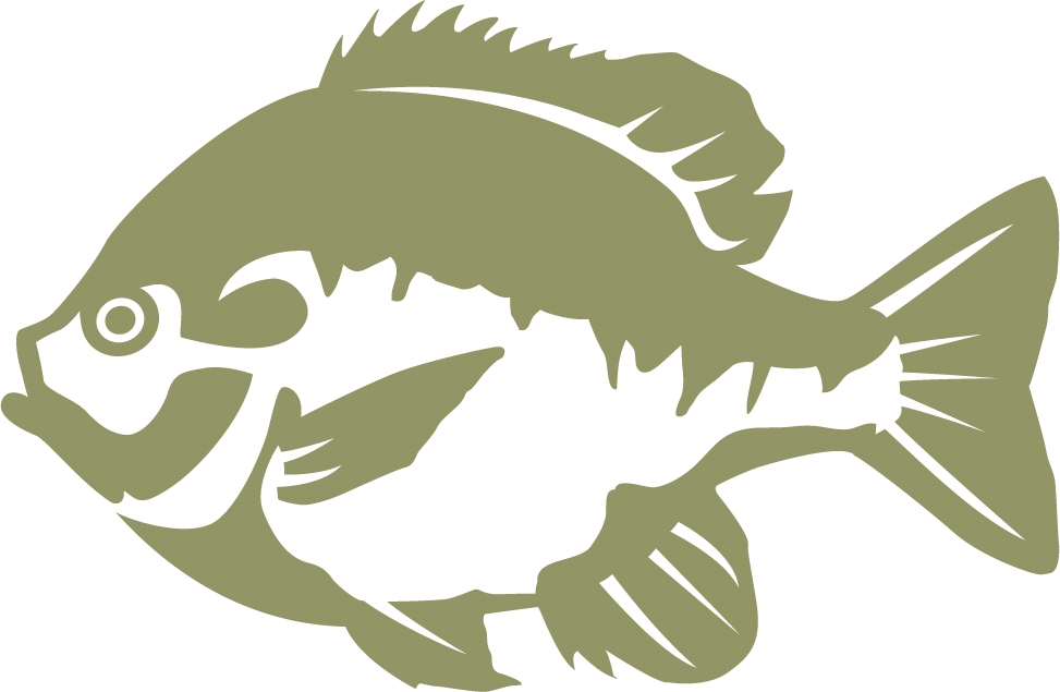 Bluegill 2 Wall Decal