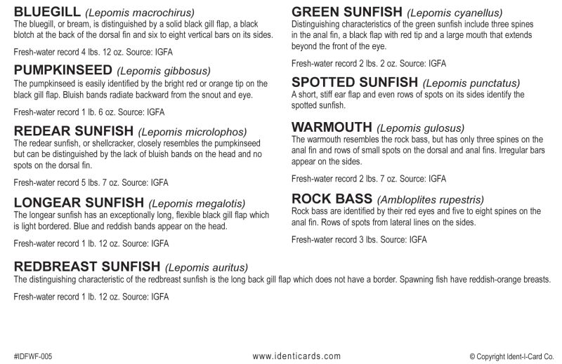 sunfish identification guide