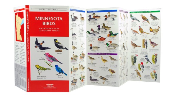 Minnesota Birds - A Pocket Naturalist Guide