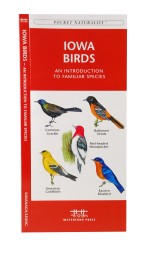 Pocket Guides to Species Identification in Iowa