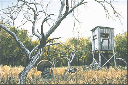 Safe Passage - wildlife print by Les Mcdonald, Jr.